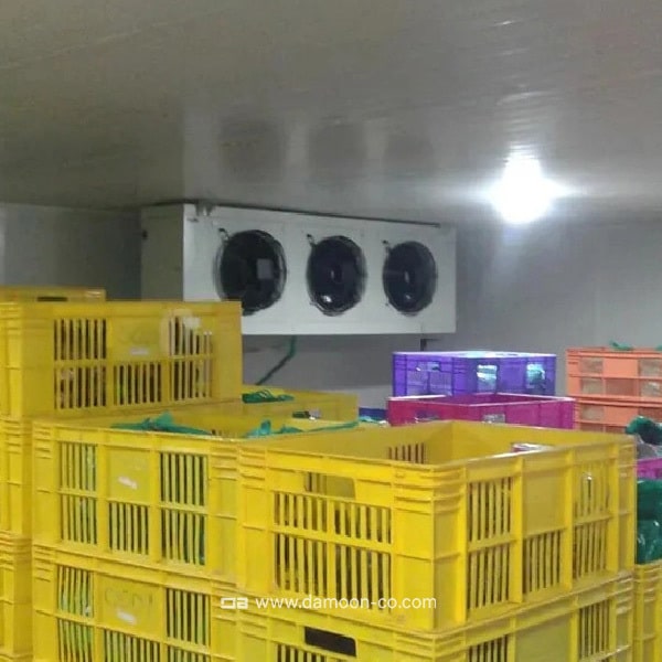 سردخانه مرغ | قیمت و خرید | طراحی و ساخت